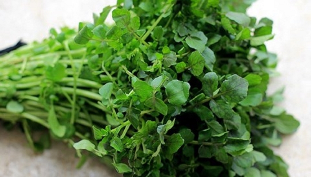 2 loại rau dễ là nơi "tổ ký sinh trùng" ẩn náu, nhất là cái số 1 nhiều ...