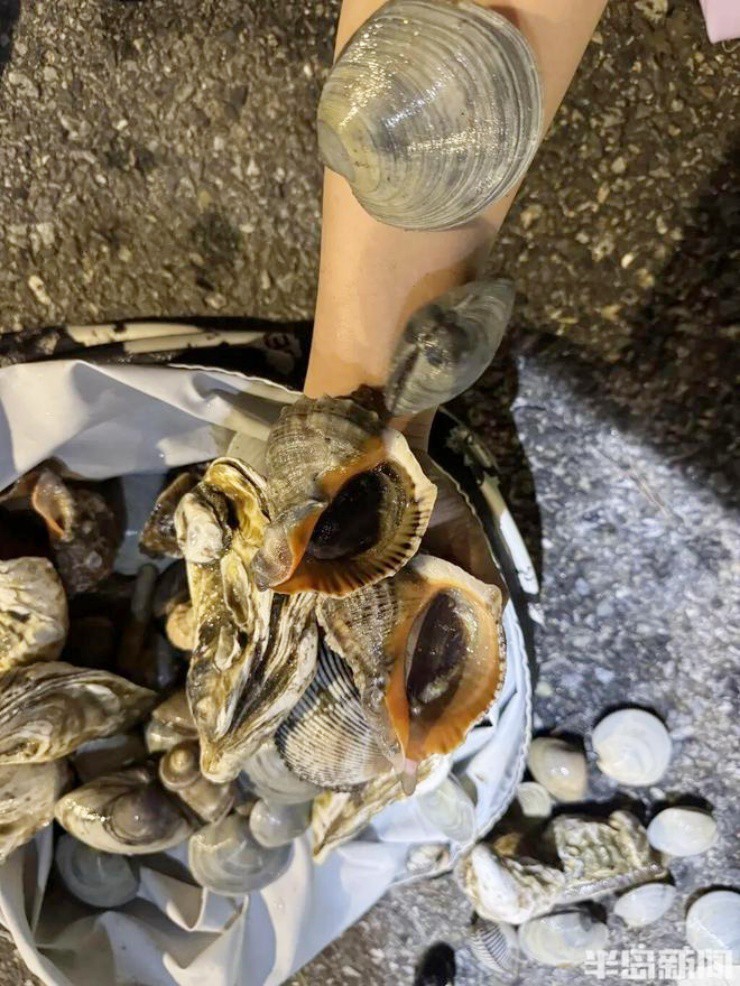 Hải sản ồ ạt dạt lên bờ, dân đua nhau đi bắt “buffet tươi sống” miễn phí