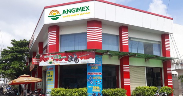 Angimex bị phạt do vi phạm quy định giao dịch cổ phiếu