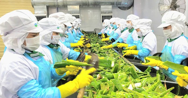 GC Food sẽ chào bán hơn 7 triệu cổ phiếu trong năm 2025