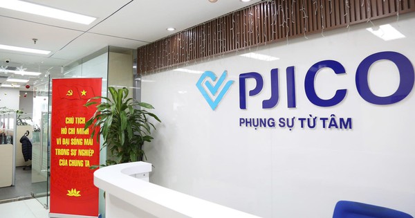 PJICO "thay máu" nhân sự cấp cao, doanh thu bảo hiểm chững lại