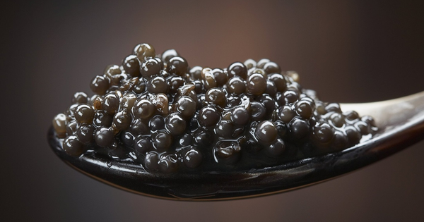 Thứ xưa cho không ai lấy, nay "lên đời" thành đặc sản xa xỉ giá 3 tỷ ...