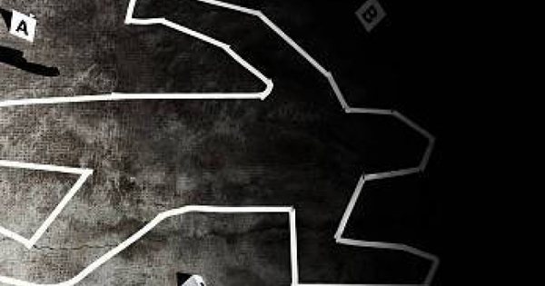 Người phụ nữ xinh đẹp chết trong gara: Hiện trường đáng ngờ