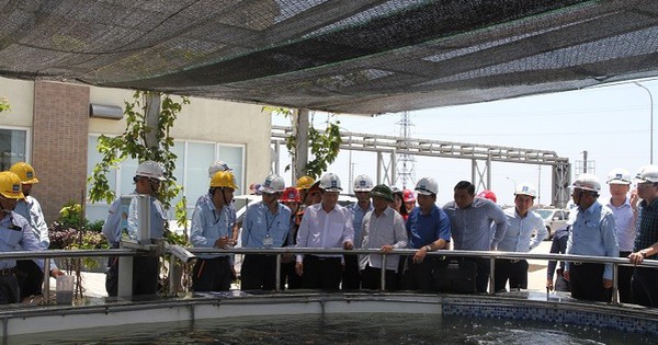 Phó Thủ tướng Trịnh Đình Dũng kiểm tra Formosa trước khi vận hành lò ...