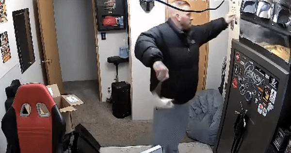 Clip: Trăn khủng bất ngờ lao ra cắn chủ khi được cho ăn