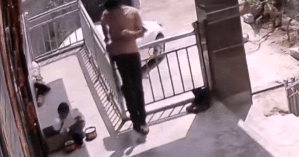 Thấy thứ cực độc trong thùng đồ chơi, cha lập tức tóm lấy con trai