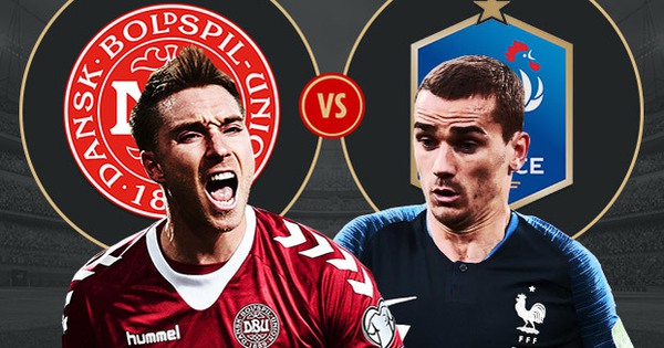 “Mèo tiên tri” và “thần rùa” dự đoán kết quả trận Pháp và Đan Mạch