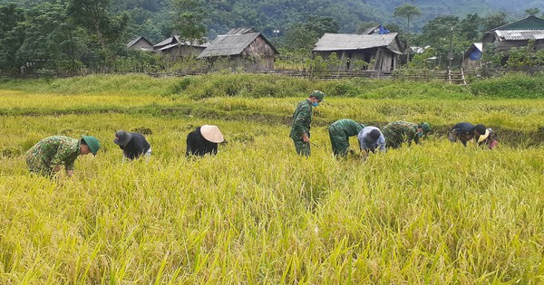 Hành trình 10 năm bội đội biên phòng đưa cây lúa nước lên với đồng bào Mày