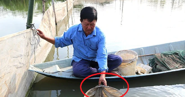 Anh nông dân đút túi 1 tỷ/năm nhờ nuôi con vật quen thuộc "thích nước"