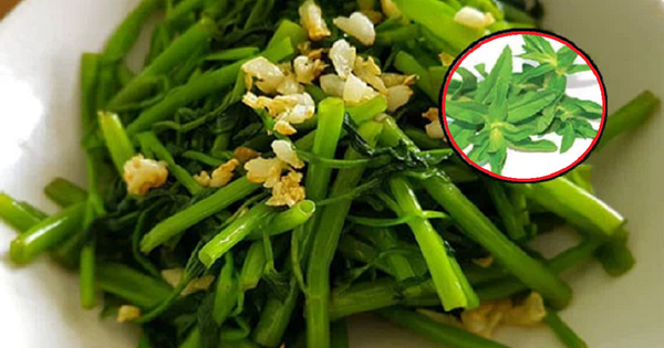 Rau muống xào tỏi "xưa rồi", kết hợp với thứ này chuẩn vị nhà hàng đến ...