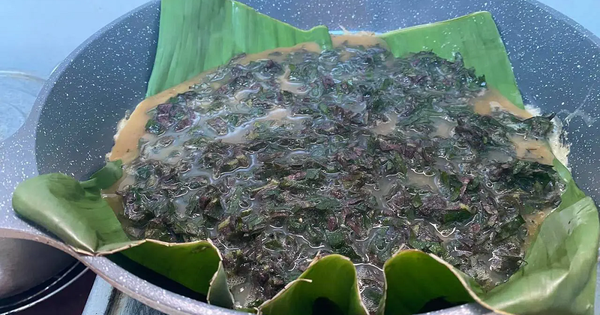 Ăn 1 nắm lá này như “vị cứu tinh” sức khỏe, mọc um tùm bờ rào