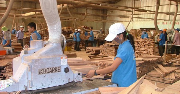 Vinafor hoàn thành kế hoạch 2022 nhờ khoản thu từ các công ty liên kết